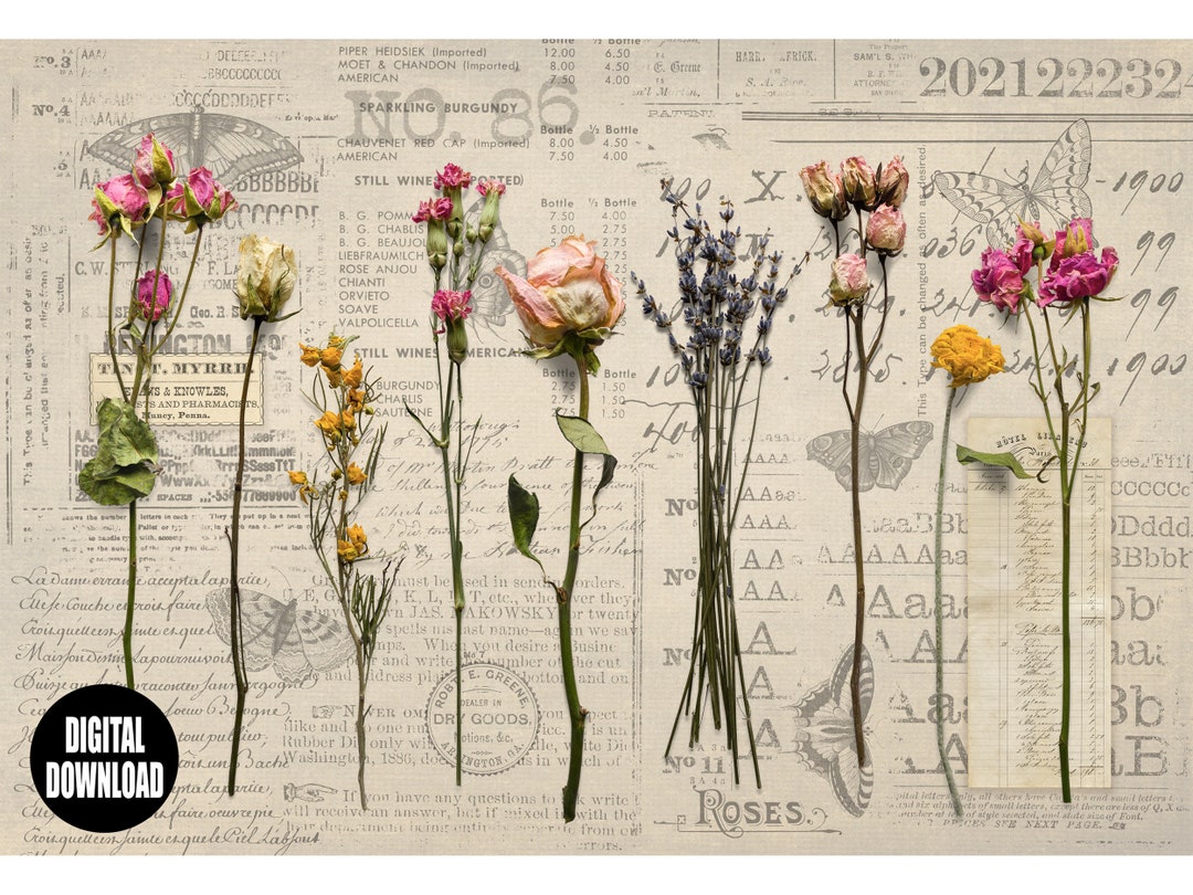 Dried Flowers Collage, Dried Flowers, Flowers, Collage, Ephemera ...
