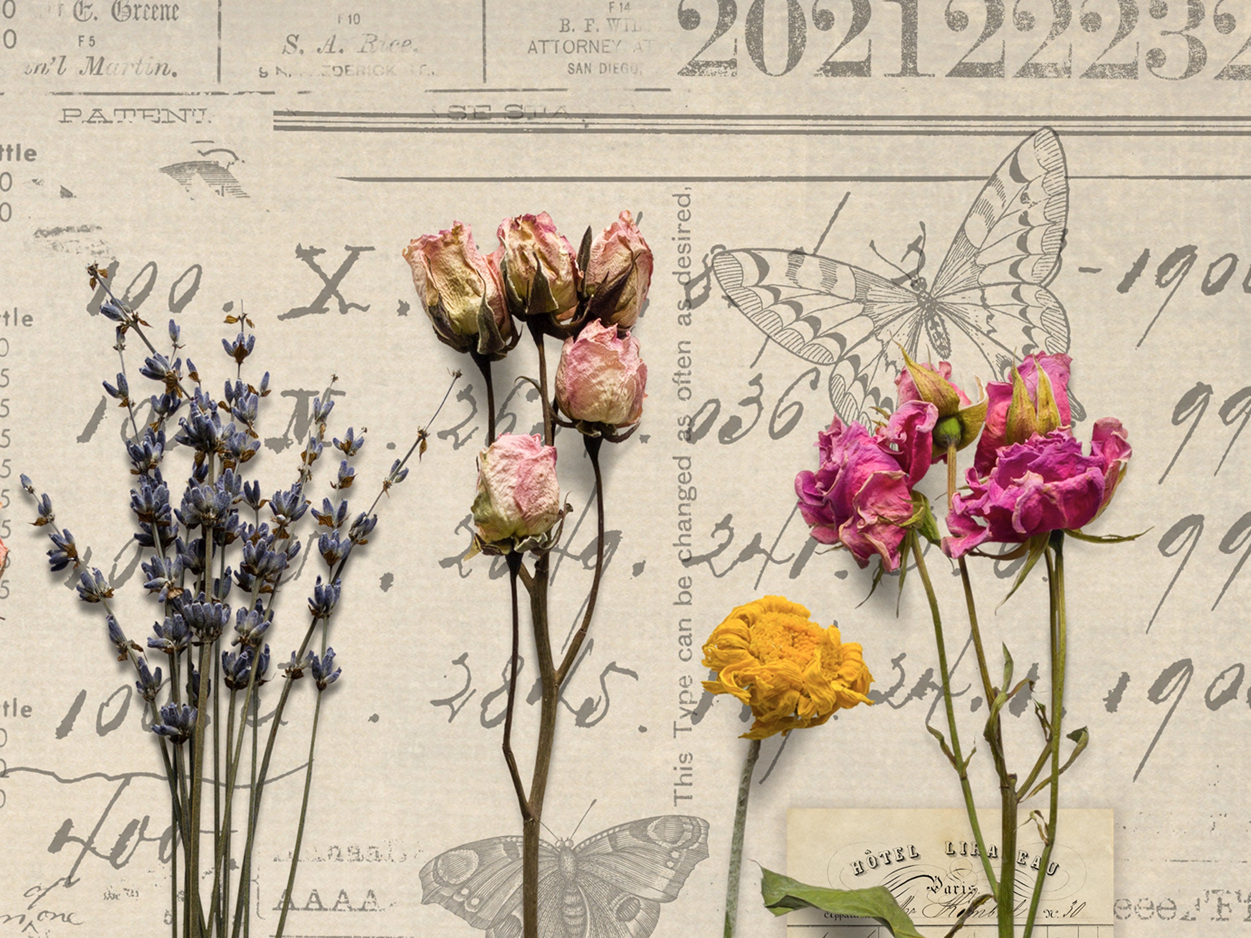 Dried Flowers Collage, Dried Flowers, Flowers, Collage, Ephemera ...