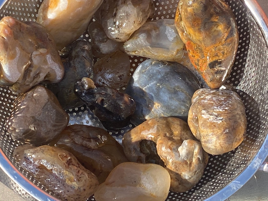Larger Rough Agates for Tumbling Slabbing Lapidary Montana Yellowstone ...