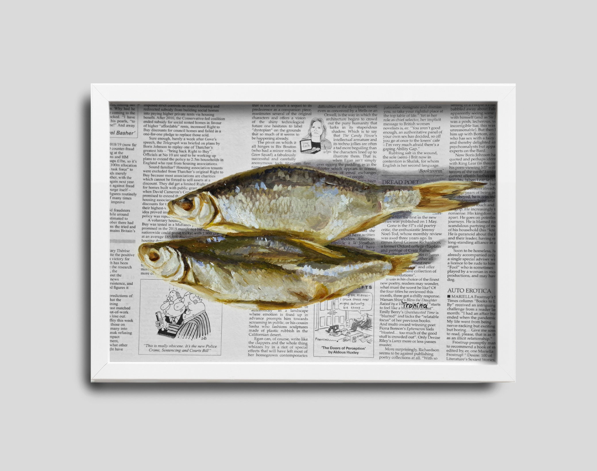 Fish Painting on Newspaper, Roach Original Art, Fish Painting, Fish Art ...