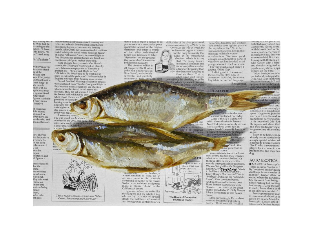 Fish Painting on Newspaper, Roach Original Art, Fish Painting, Fish Art ...