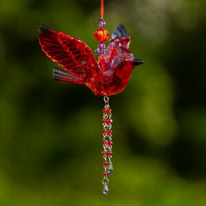 Pack of 2, Assorted Crystal Quality Acrylic Red Cardinal Hanging ...