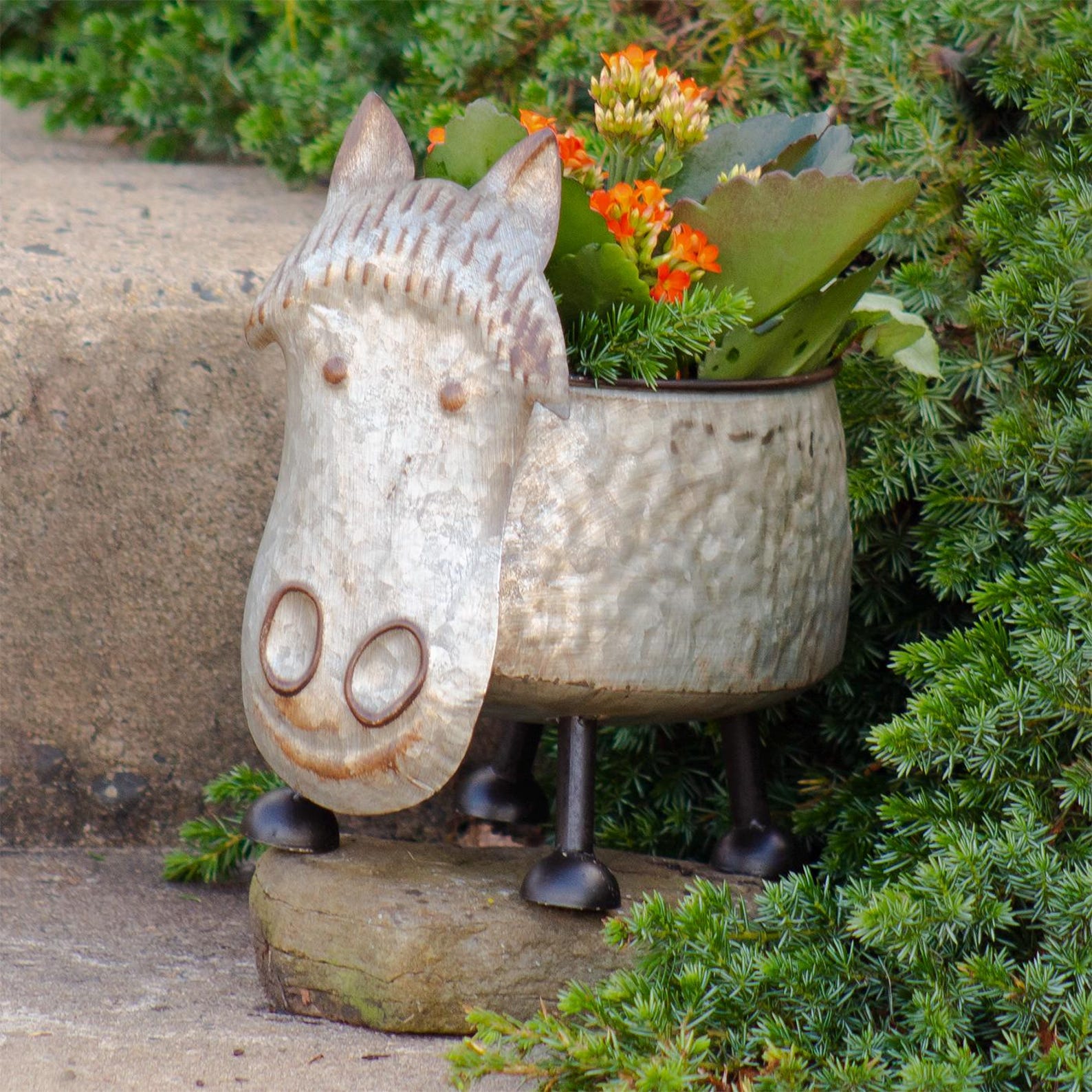 Galvanized Farm Animal Planters, Options: Cat, Cow, Dog, Horse, Pig ...