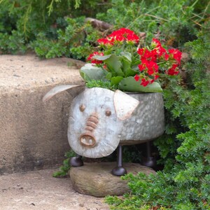Galvanized Farm Animal Planters, Options: Cat, Cow, Dog, Horse, Pig ...
