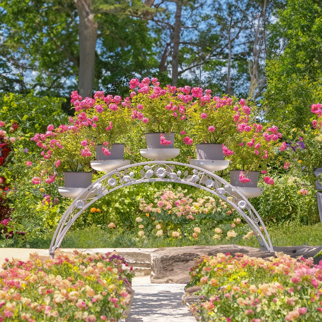 6.6ft. Long Bridge-like Iron Plant Stand With Five Planters "stockholm ...