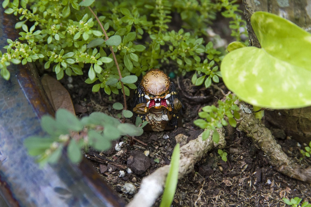 Artisan Keycap, Predator Keycap, Keycap for Cherry Mx, Predator Artisan ...