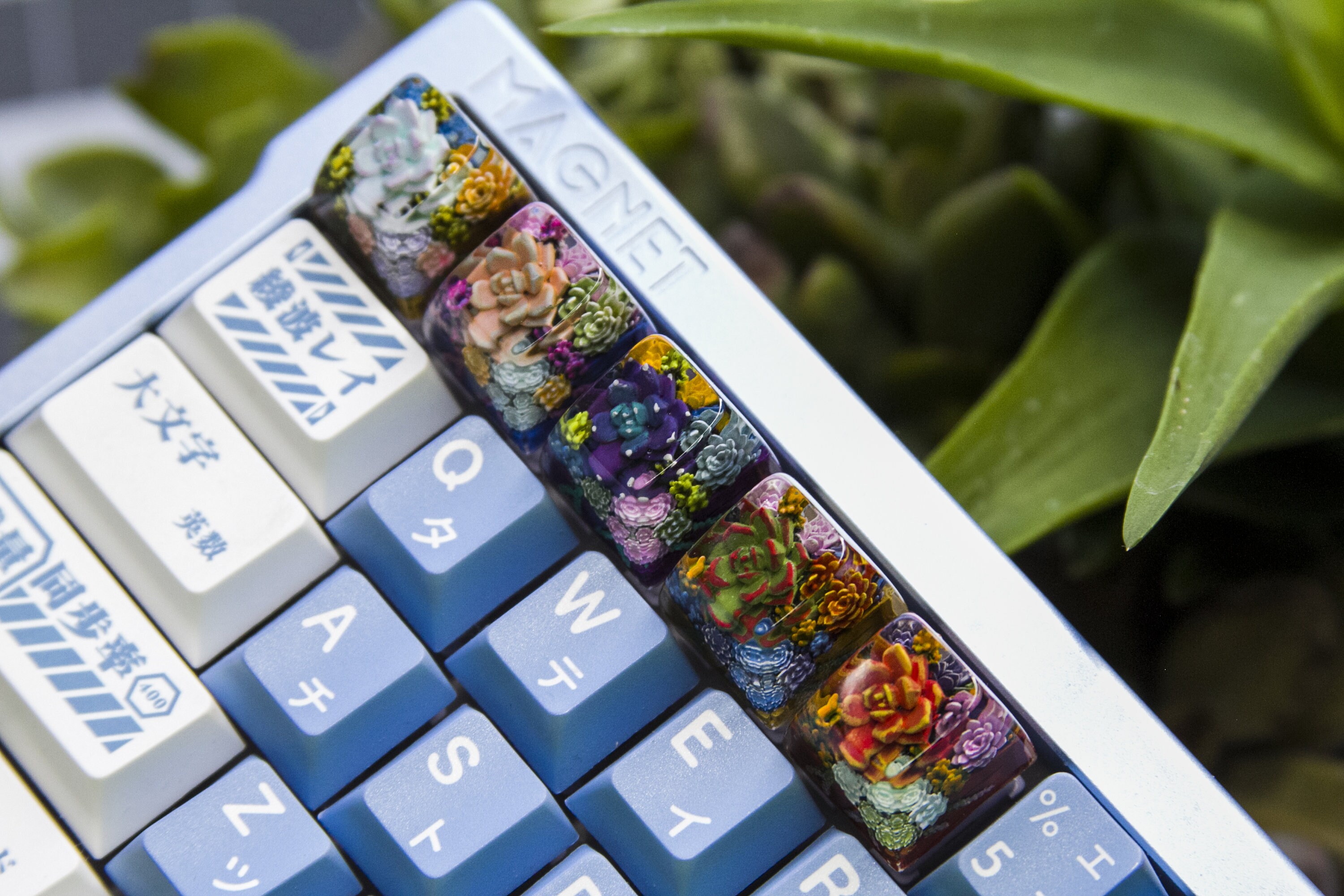 Artisan Keycap Succulent Keycap SA Profile and DOM Keycap - Etsy