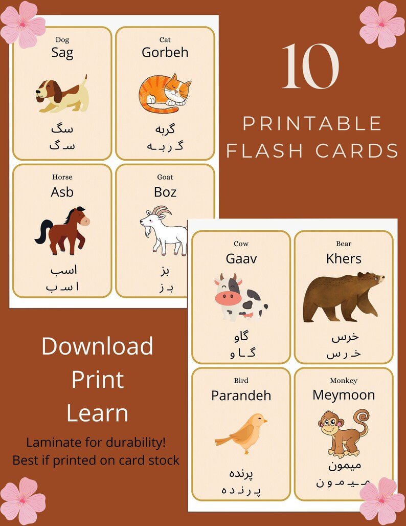 Farsi/persian Animal Learning Sample Set - Etsy