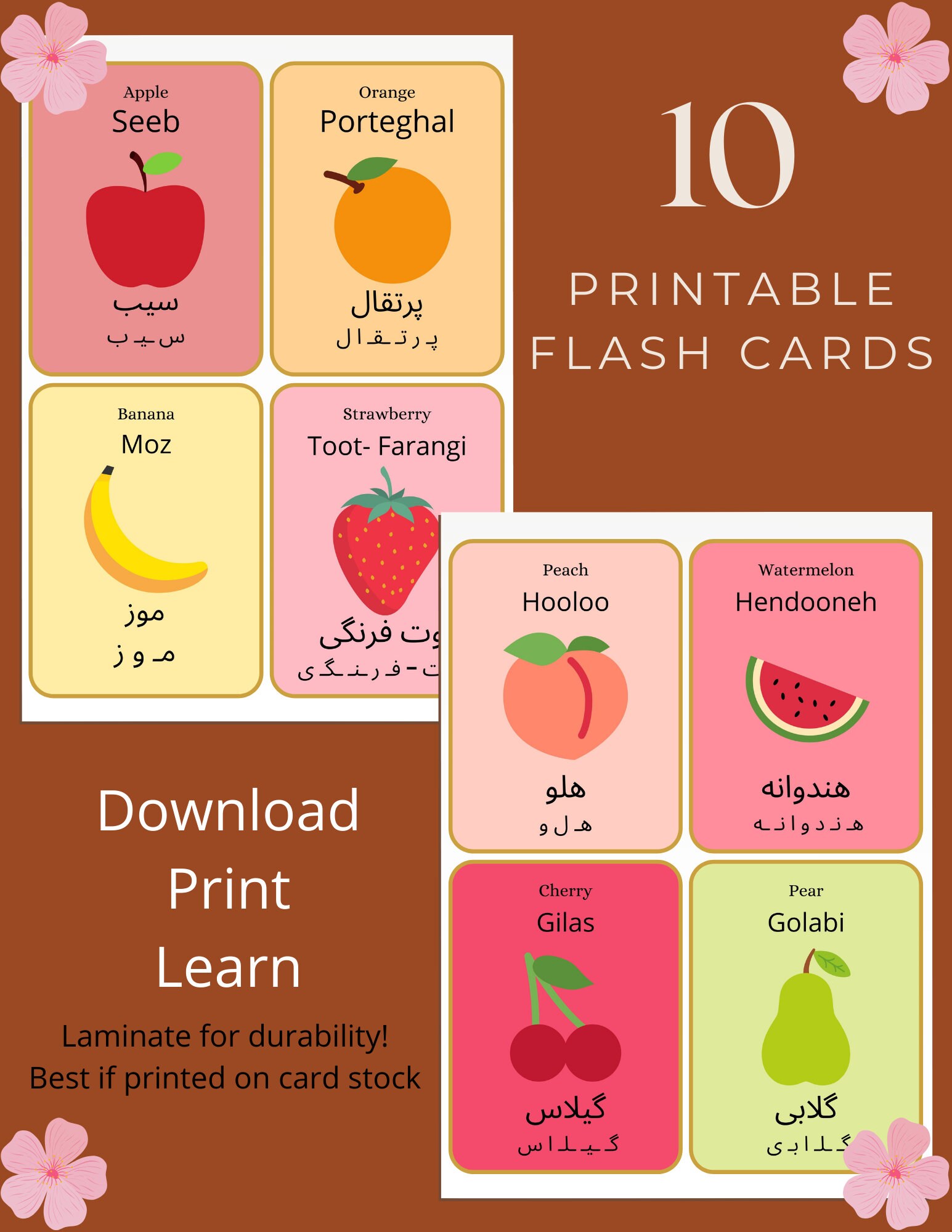 Farsi/persian Fruit Sample Learning Set - Etsy