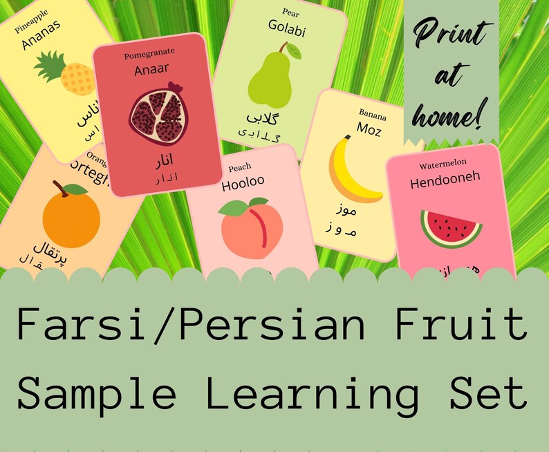 Farsi/persian Fruit Sample Learning Set - Etsy