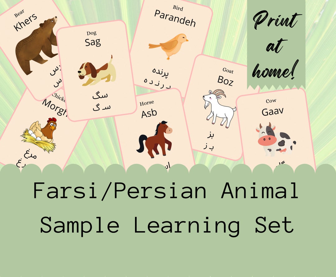 Farsi/persian Animal Learning Sample Set - Etsy