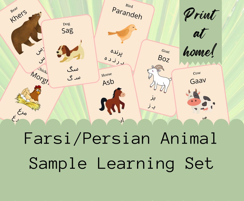 Farsi/persian Animal Learning Sample Set - Etsy