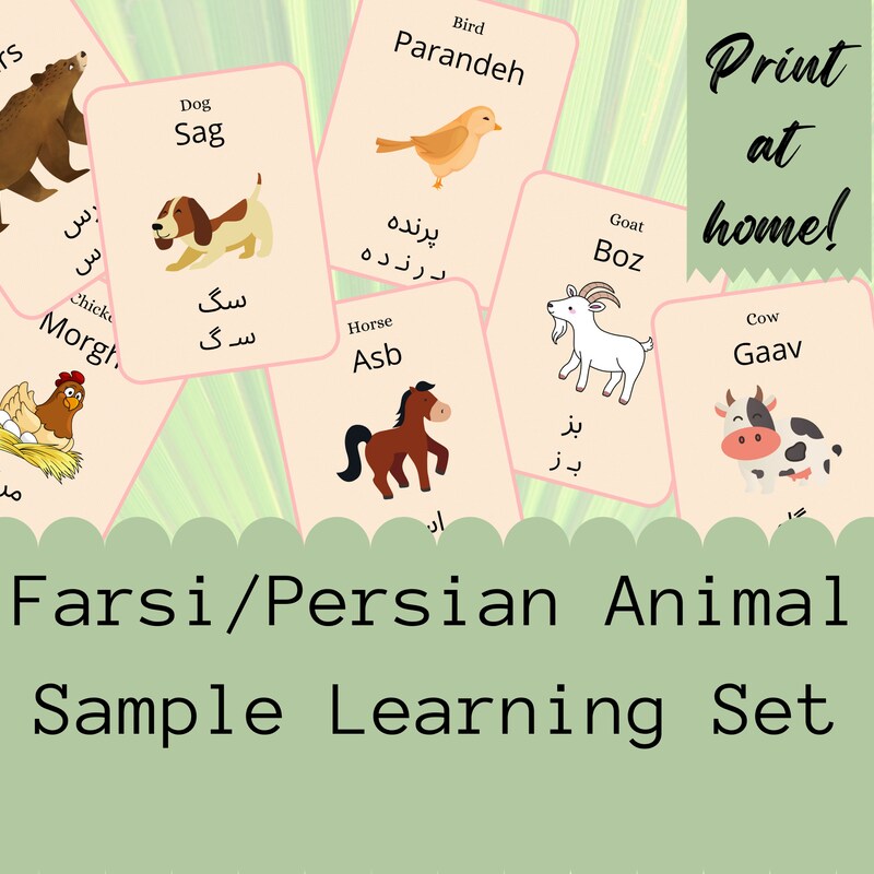 Farsi Baby - Etsy