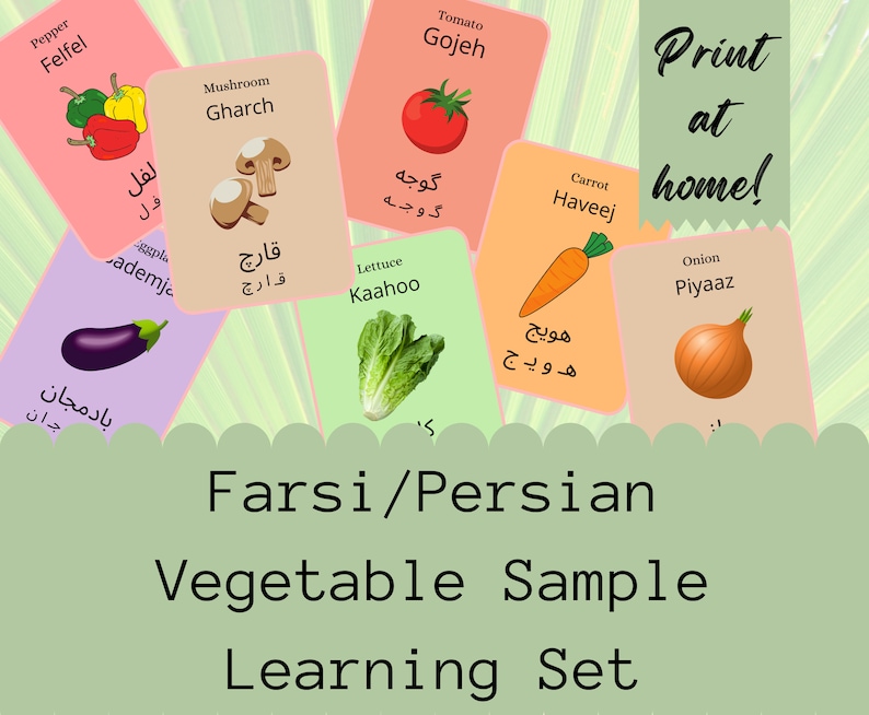 Farsi/persian Vegetable Flash Card Learning - Etsy