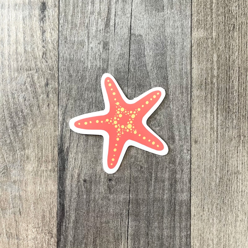 Starfish Sticker - Etsy