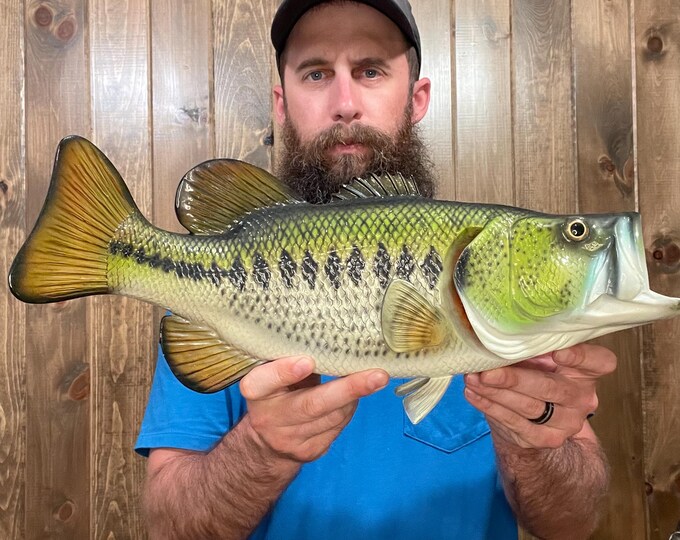 Big 18” Largemouth Bass Fish Reproduction Mount Taxidermy Man Cave ...