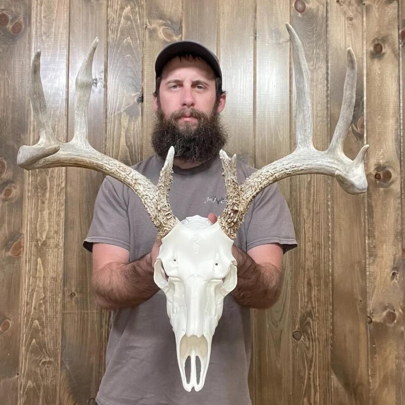 Fake Deer Skull - Etsy