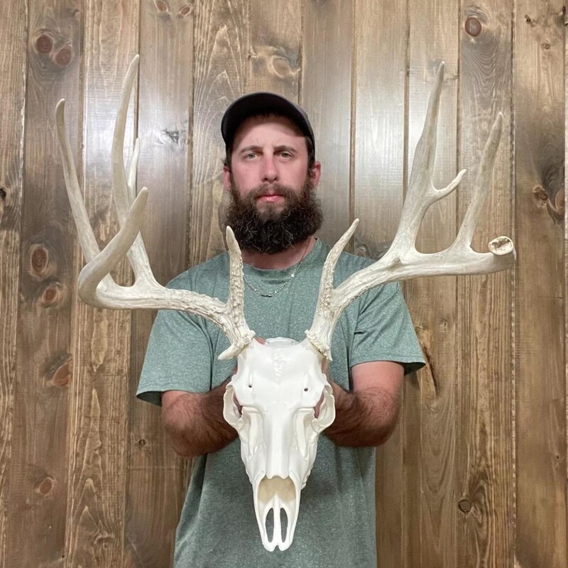 Fake Deer Head - Etsy