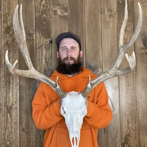 Fake Deer Skull - Etsy