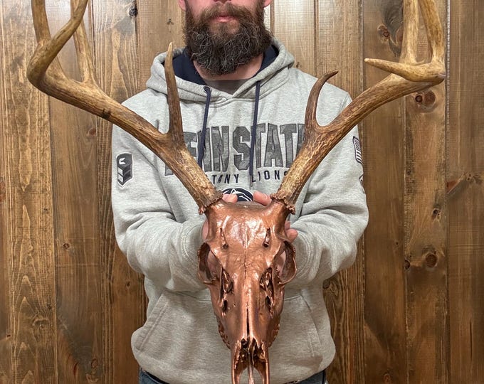 Dark Bronze Real 8pt Whitetail Skull Antler Horn Deer Mount Taxidermy ...