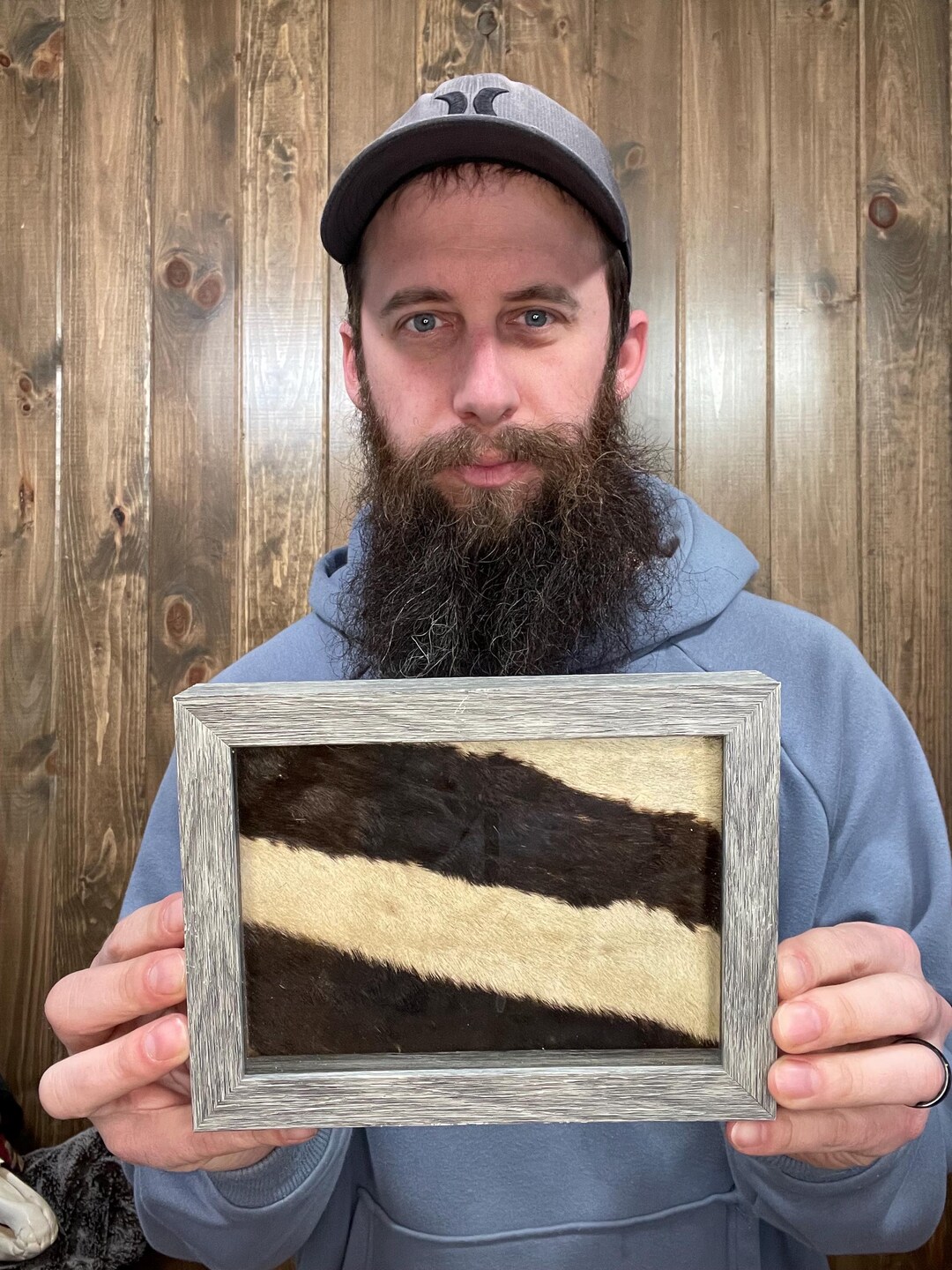 Real Authentic Zebra Hide 8x6” Shadow Box Display African Animal Art ...