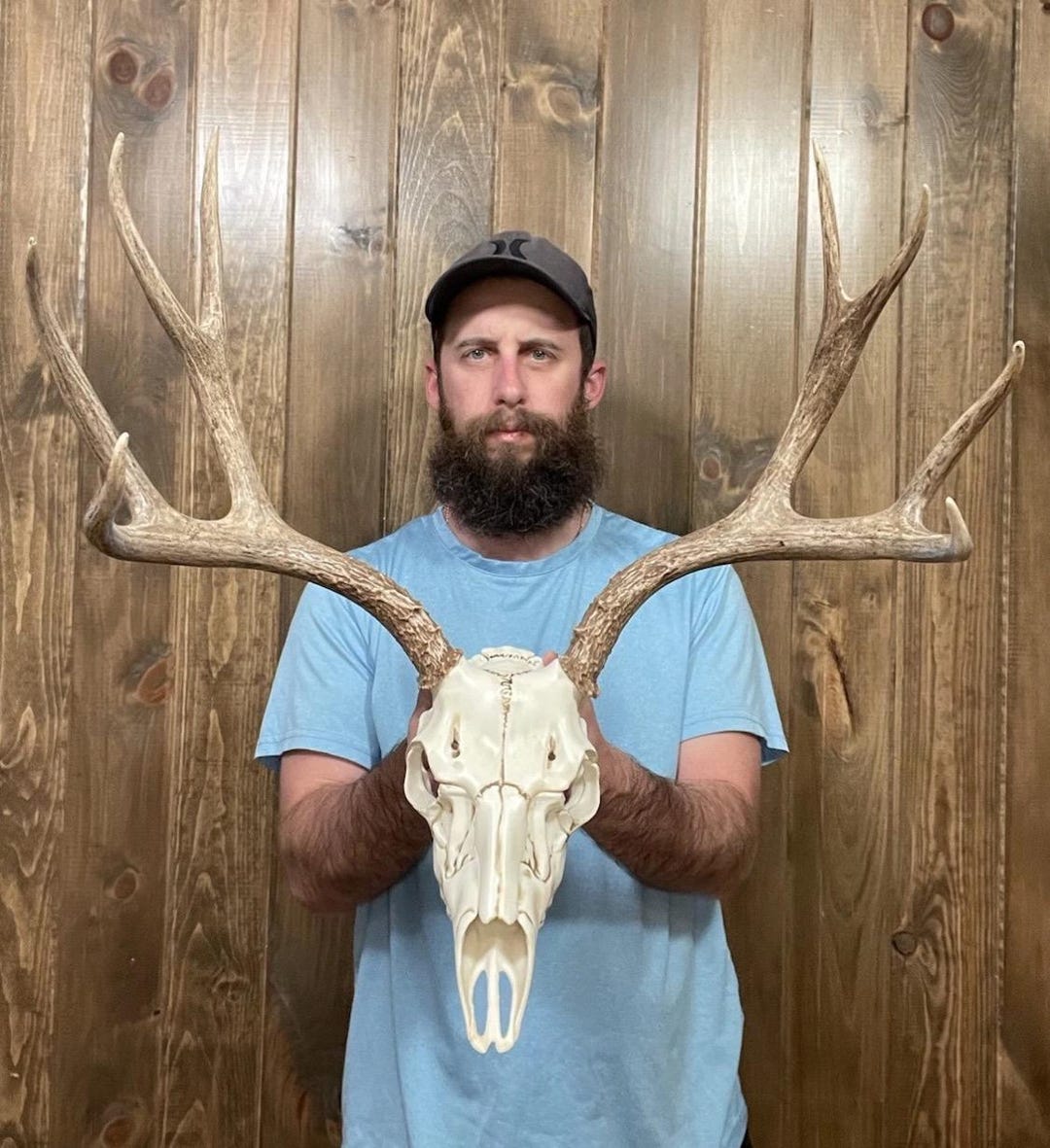Dark Perfect 4x4 Mule Deer Antler Horn Fake Skull Mount Taxidermy Rack ...