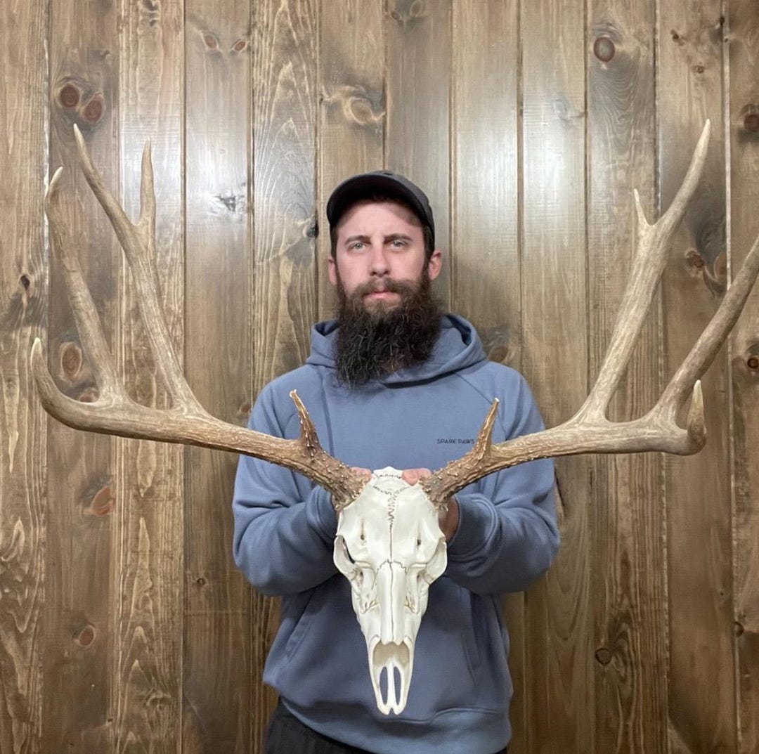 Huge Dark 5x5 Mule Deer Antler Horn Fake Skull Mount Taxidermy Rack Man ...