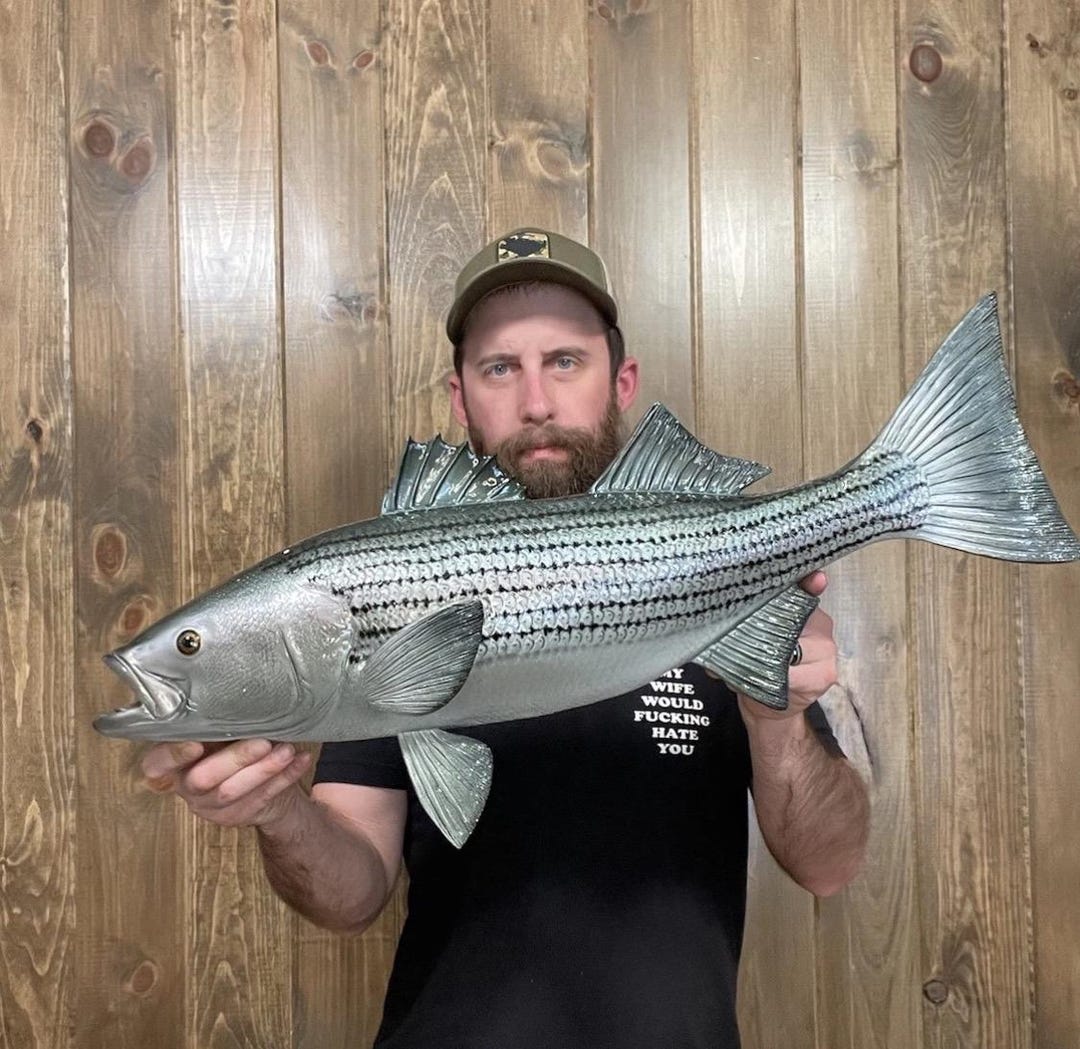 Big 28” Strip Bass Fish Reproduction Mount Taxidermy Man Cave Cabin ...