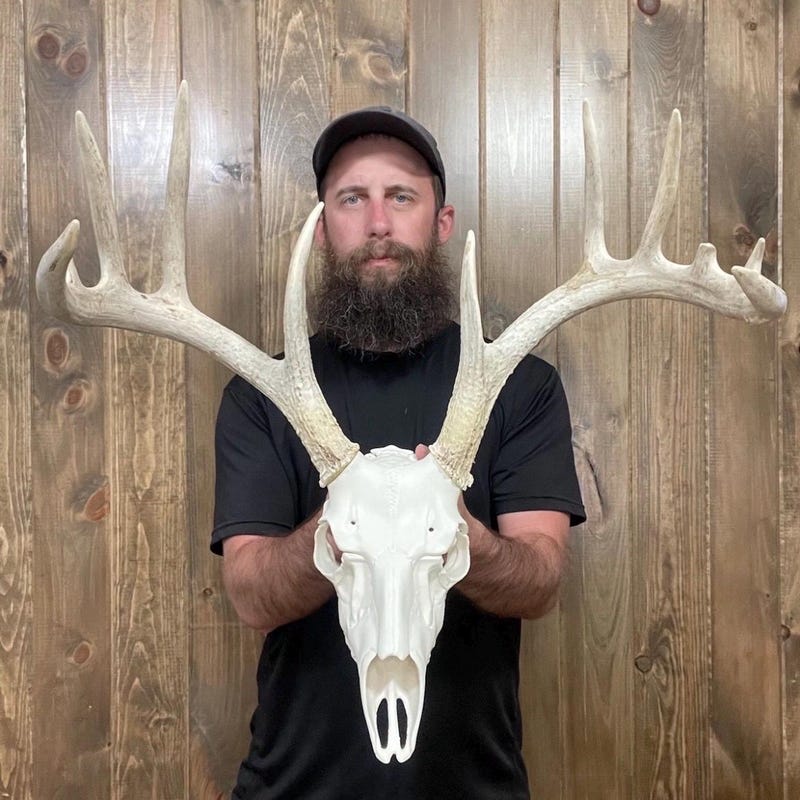 Fake Deer Head - Etsy