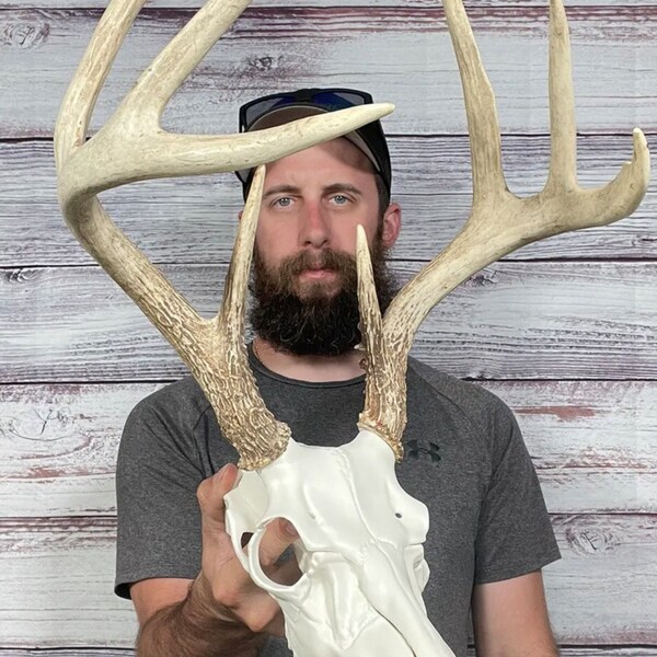 Fake Deer - Etsy
