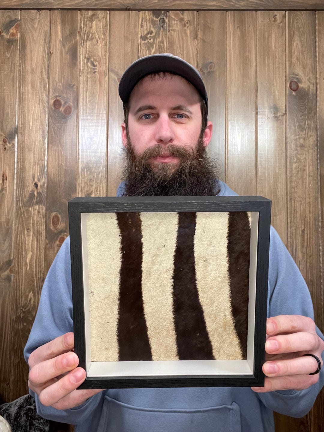 Real Authentic Zebra Hide 8x8” Shadow Box Display African Animal Art ...