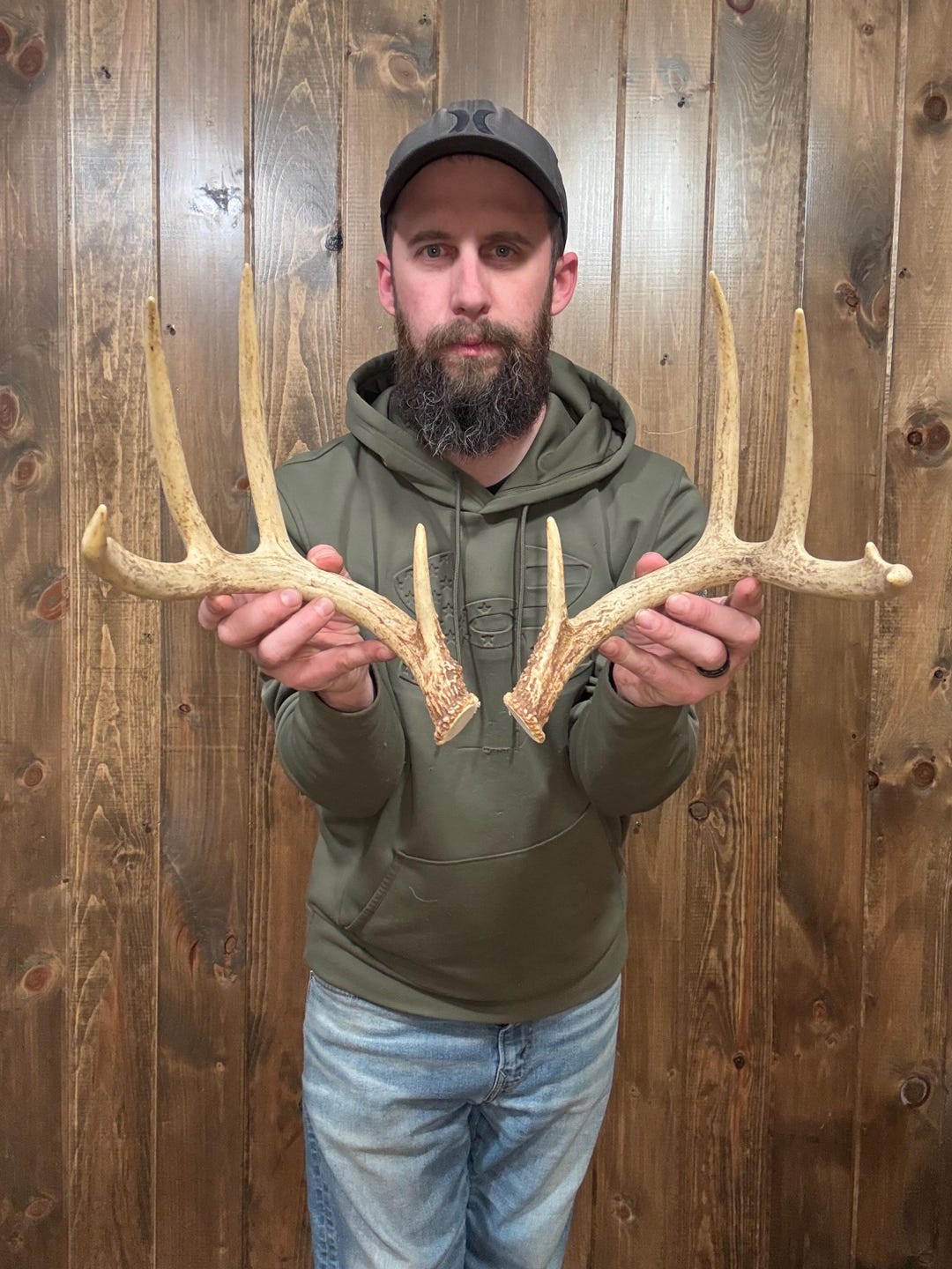 Dark Fat Massive 8pt Whitetail Cut Antler Horn Deer Mount Taxidermy ...