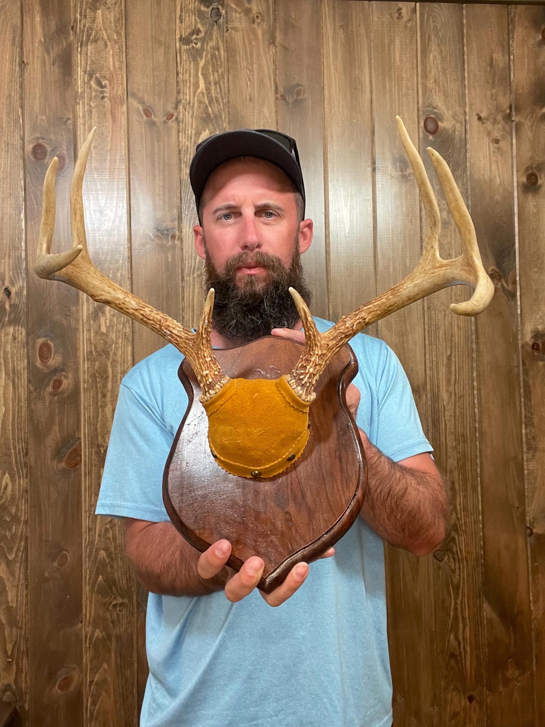 Dark Vintage 8pt Whitetail Skull Cap Antler Horn Deer Mount Taxidermy ...