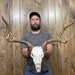 Dark Tall 4x4 Mule Deer Antler Horn Fake Skull Mount Taxidermy Rack Man ...