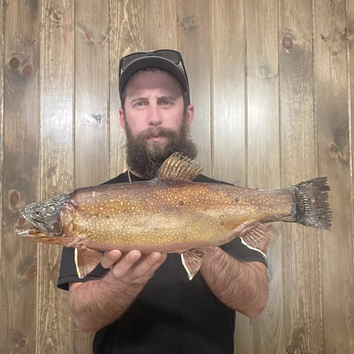 Vintage 19 Trout Real Skin Fish Mount Man Cave Cabin Decor Taxidermy - Etsy