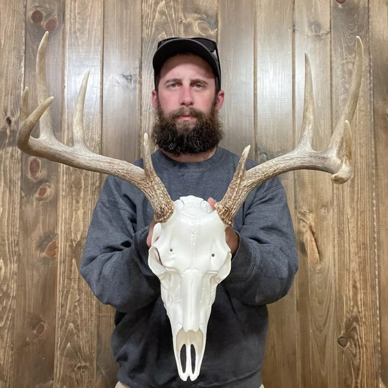 Fake Deer Skull - Etsy