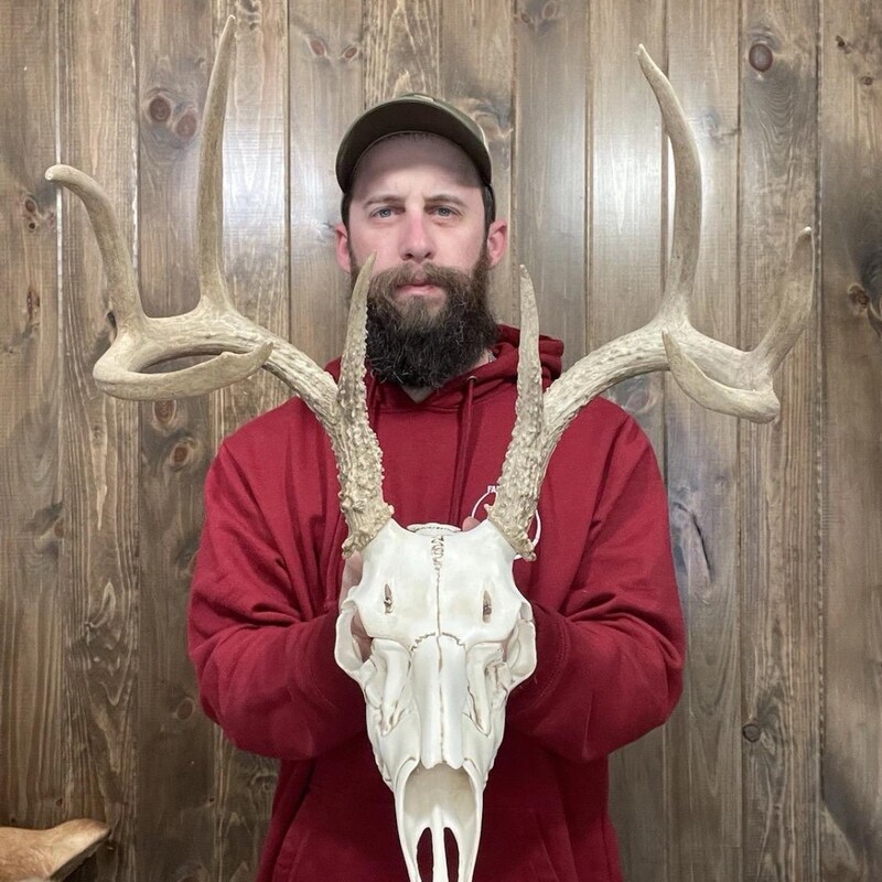 Fake Deer Skull - Etsy