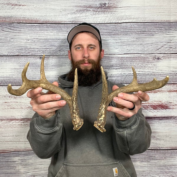 Antler Rack - Etsy