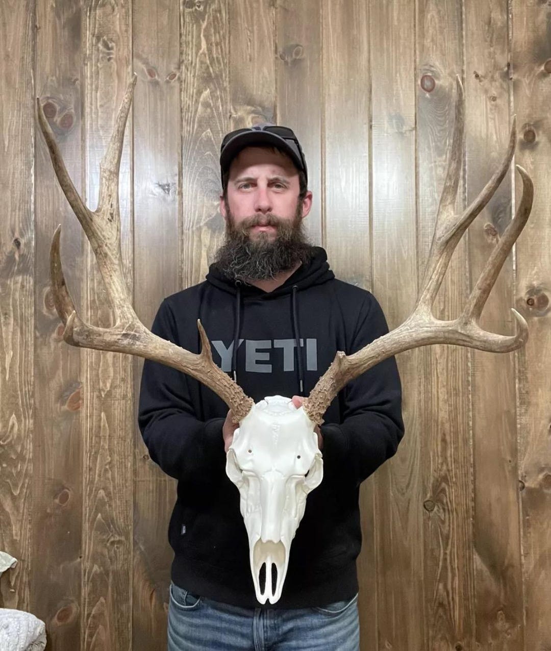 Dark Tall 5x4 Mule Deer Antler Horn Fake Skull Mount Taxidermy Rack Man ...
