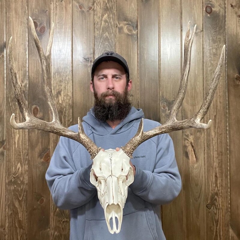Fake Deer Skull - Etsy