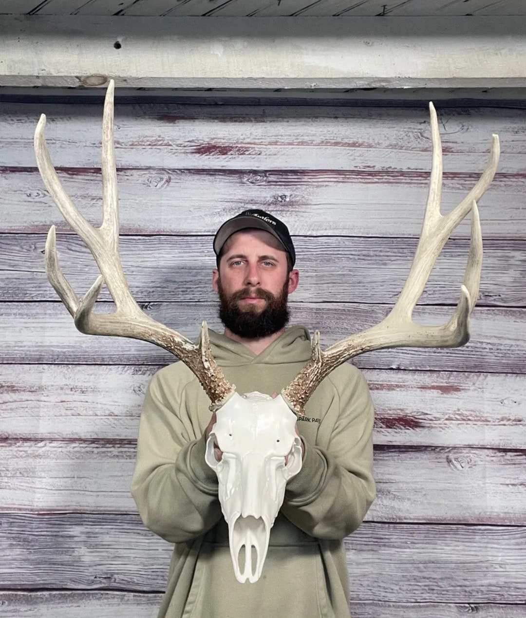 Dark Perfect 5x5 Mule Deer Antler Horn Fake Skull Mount Taxidermy Rack ...