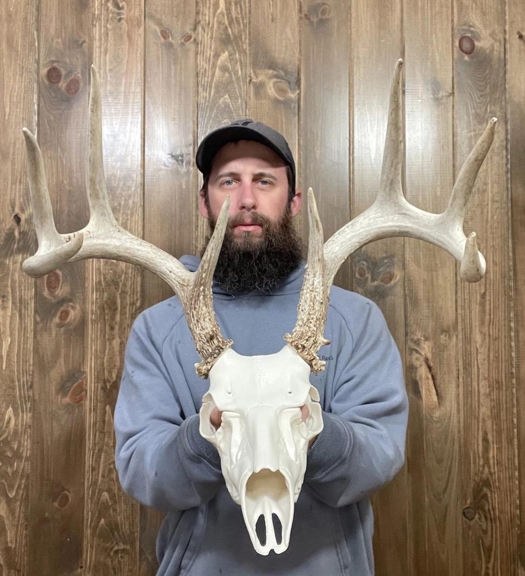 Dark Perfect Chunky 8pt Whitetail Antler Horn Deer Fake Skull Mount ...