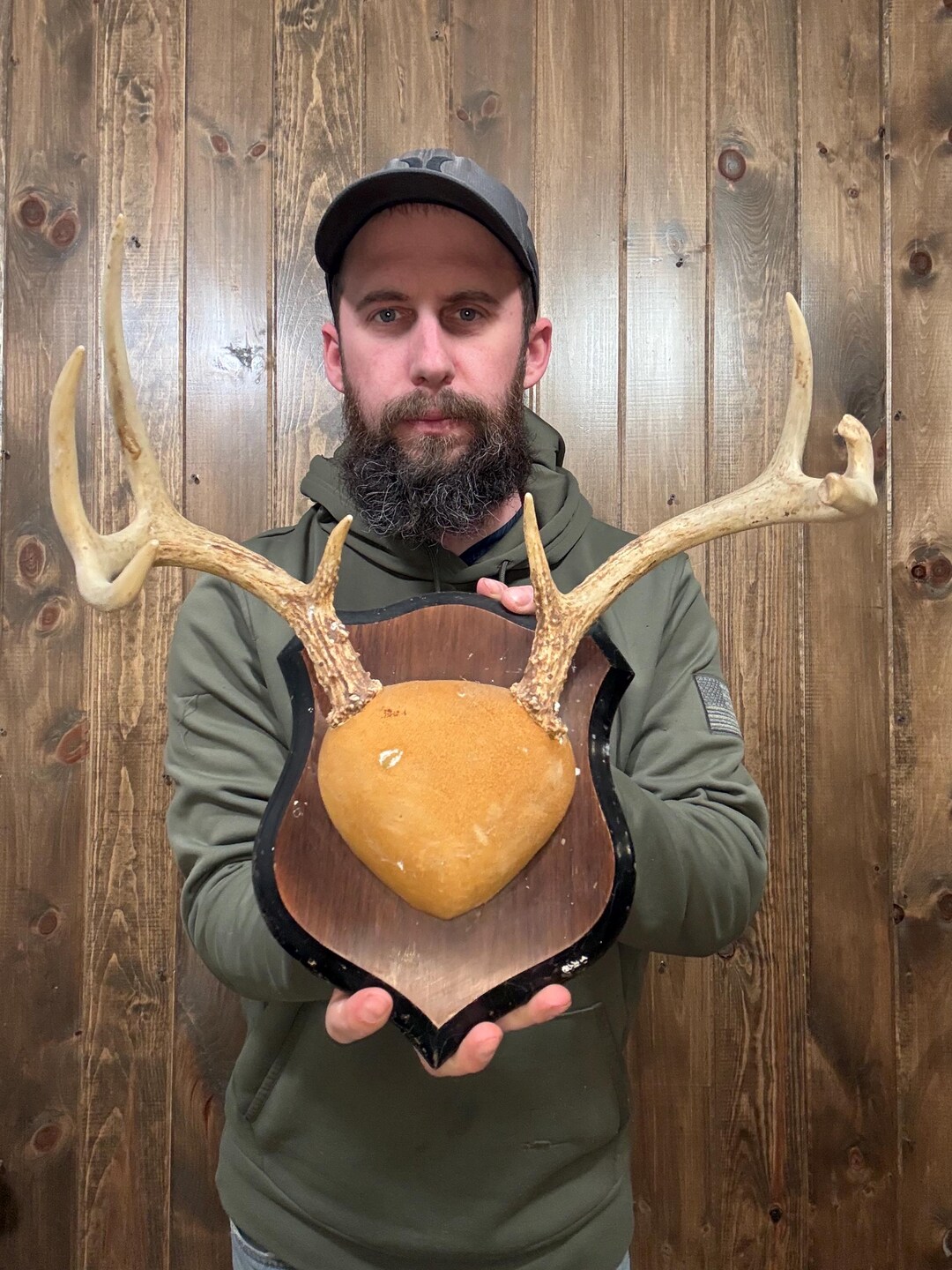 Dark Vintage 8pt Whitetail Skull Cap Antler Horn Deer Mount Taxidermy ...
