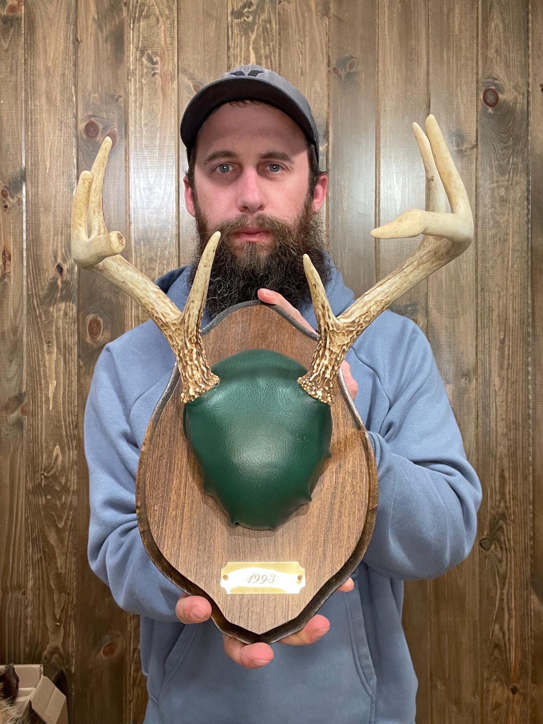 Dark Vintage 8pt Whitetail Skull Cap Antler Horn Deer Mount Taxidermy ...