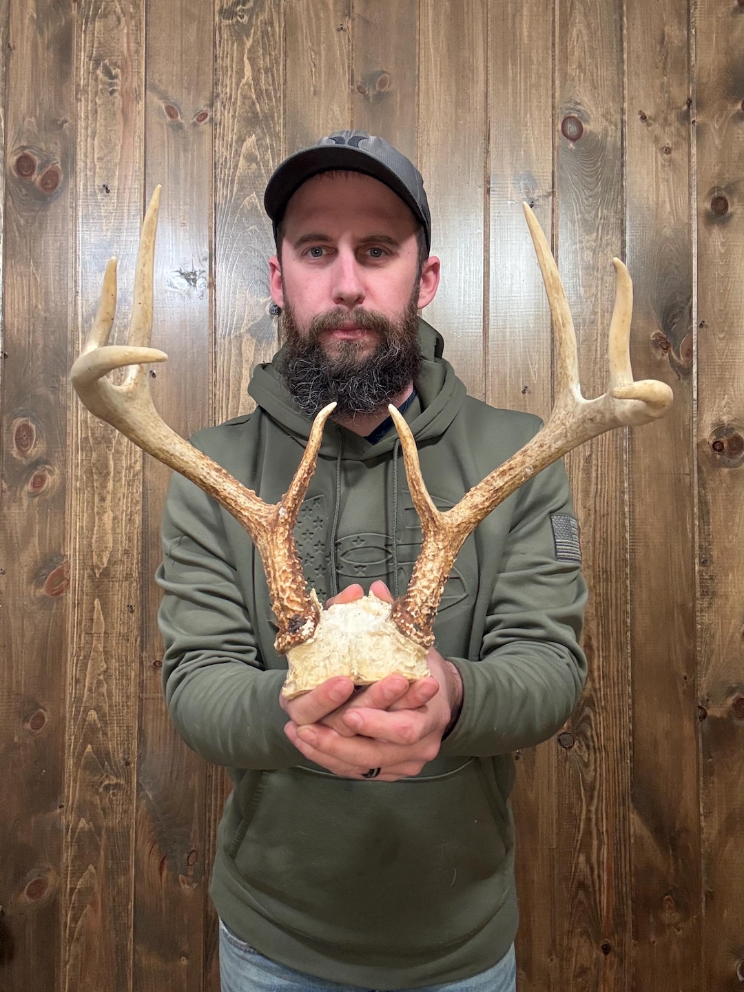 Dark Mini 8pt Whitetail Skull Cap Antler Horn Deer Mount Taxidermy Rack ...