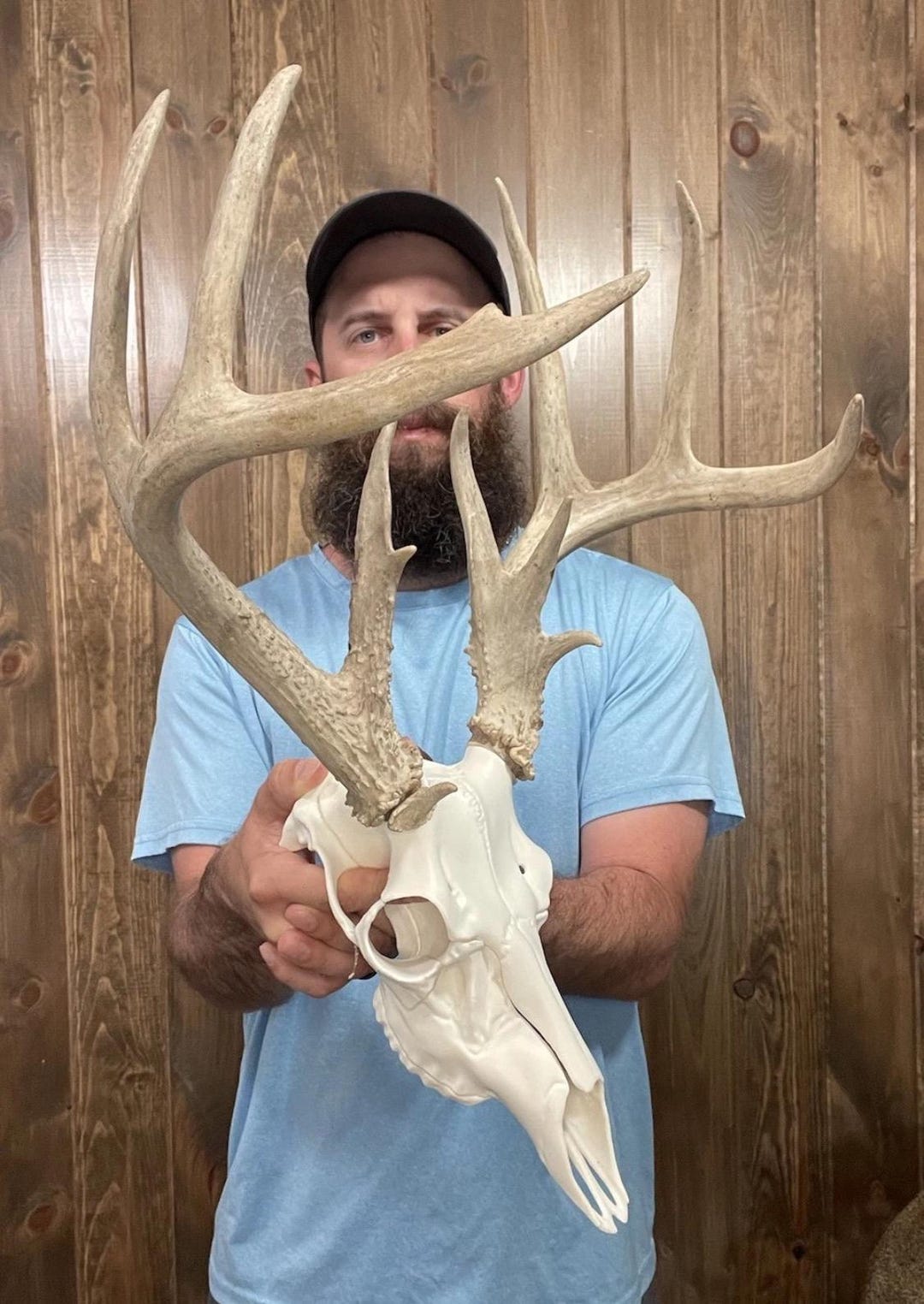 Freak “third Antler” 12pt Whitetail Antler Horn Deer Fake Skull Mount ...