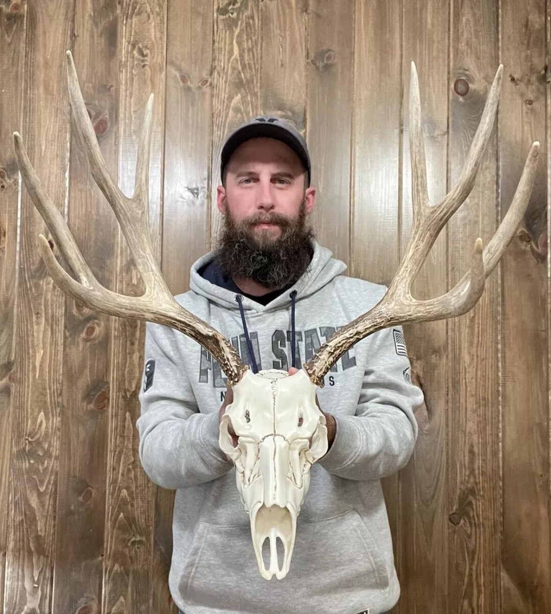 Dark Talk 4x4 Mule Deer Antler Horn Fake Skull Mount Taxidermy Rack Man ...