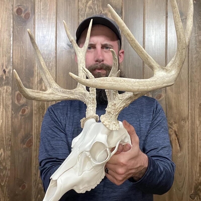 Fake Deer Skull - Etsy