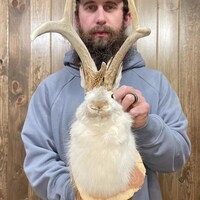 Jackalope - Etsy