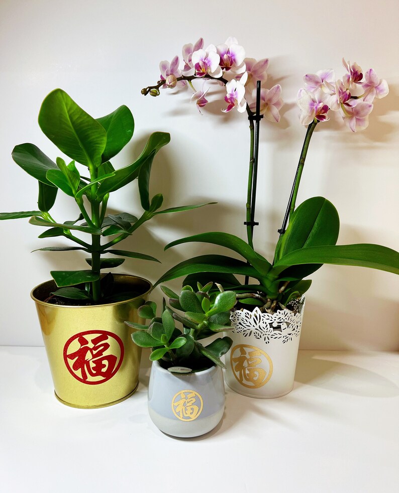 Chinese Good Luck Stickers Decals ~ Chinese Character 'fu' ~ Good ...